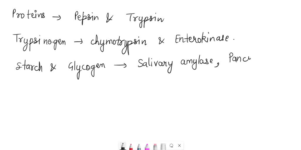 SOLVED: Classify each enzyme based on the substrate it decomposes: - Pancreatic lipase - Trypsin ...