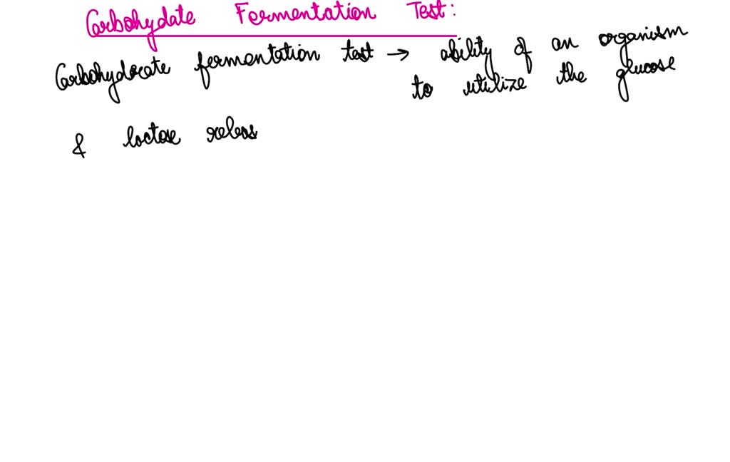 SOLVED: What bacteria from the table below is represented by this ...