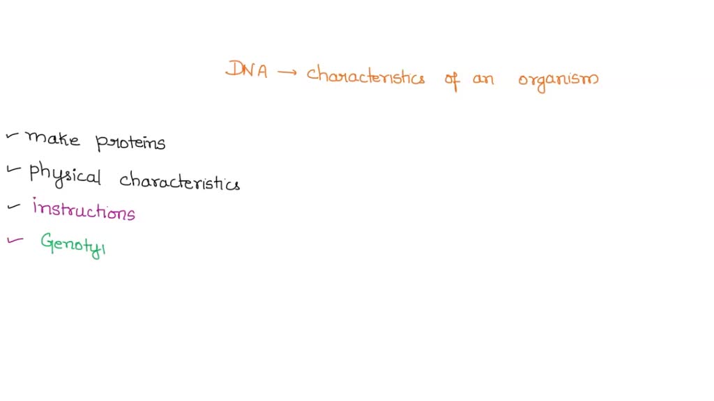 SOLVED: how does DNA determine the characteristics of an organism?