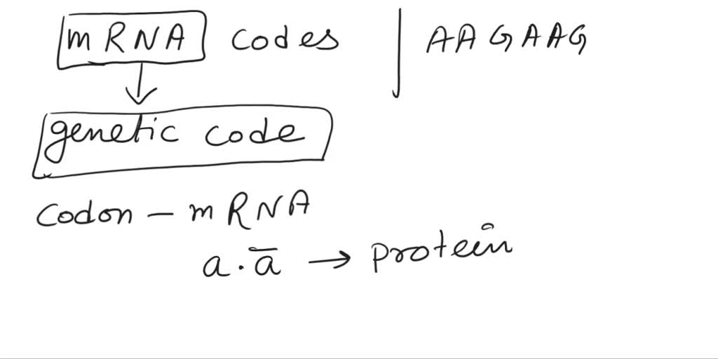 SOLVED: The following is the code from a single strand of DNA, using ...