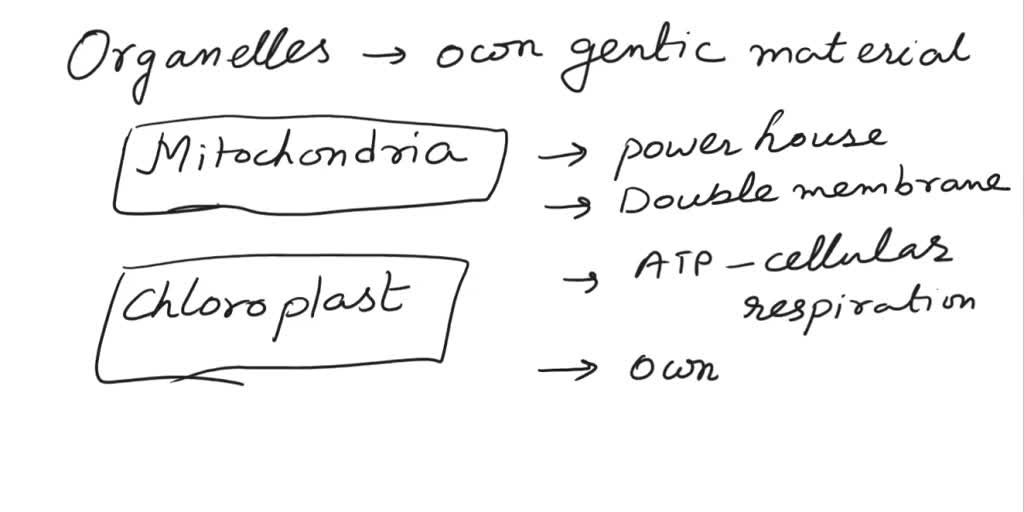 SOLVED: 1. Can you name the two organelles we have studied that contain ...