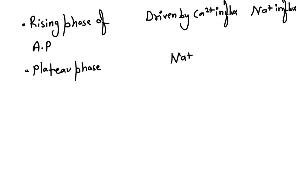 Compare the ion mechanisms and shape of action potentials between the ...