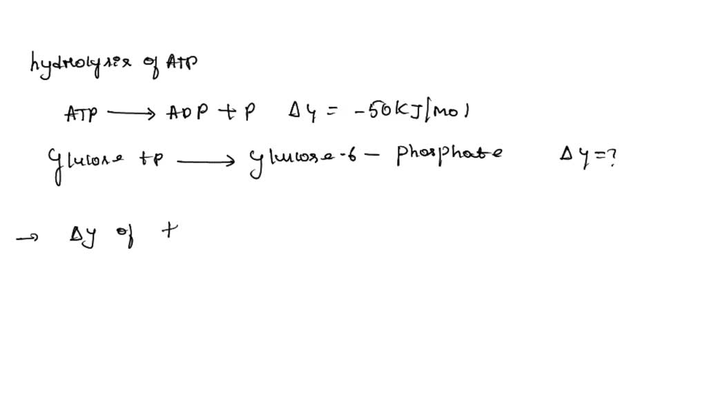 Hydrolysis Of Atp Equation