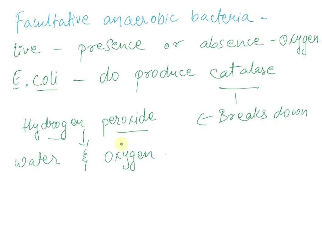 SOLVED: An anaerobic bacteria does not require oxygen. Group of answer choices True False