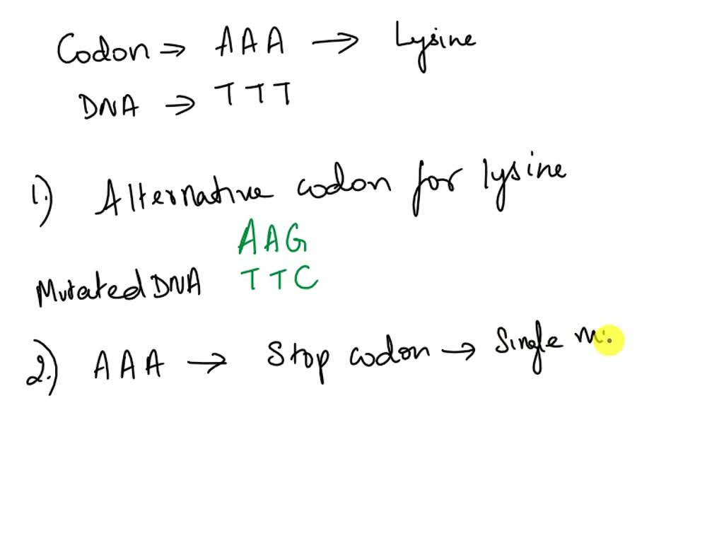 SOLVED: 5. The nucleotide AAA is the codon for Lysine. This triplet ...