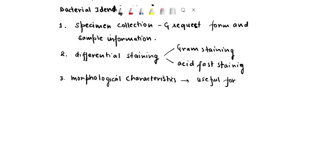 SOLVED: Main Steps in Bacterial Identification Organize the following ...