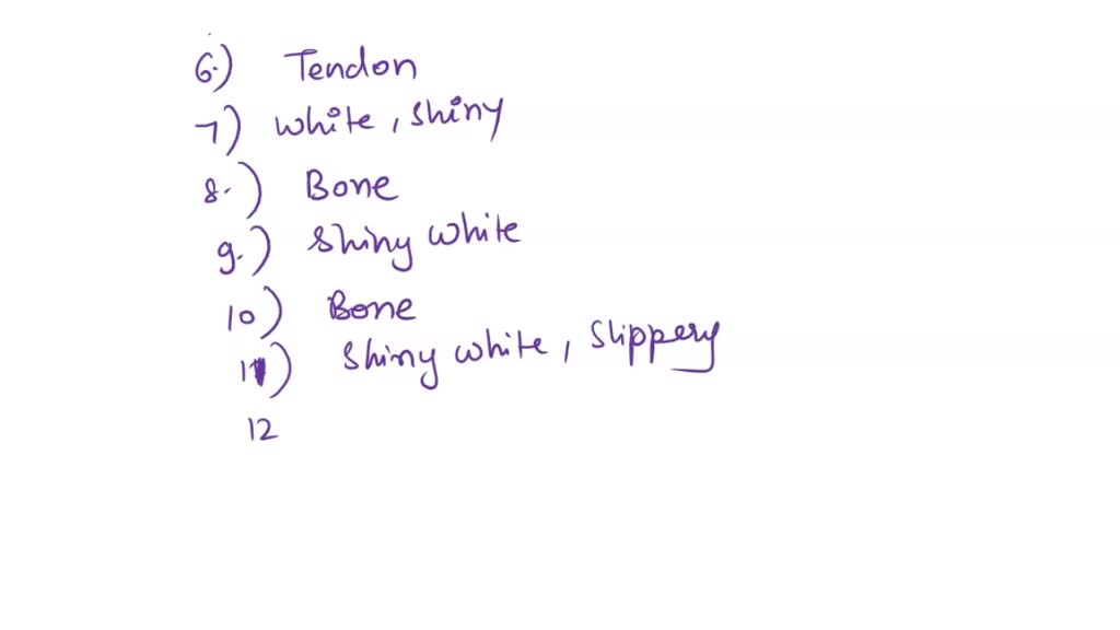 SOLVED: Chicken Wing Disection 1. Locate the triceps brachii and biceps ...