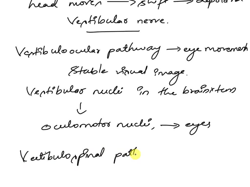 SOLVED: Please answer the following in depth: Define the basic ...