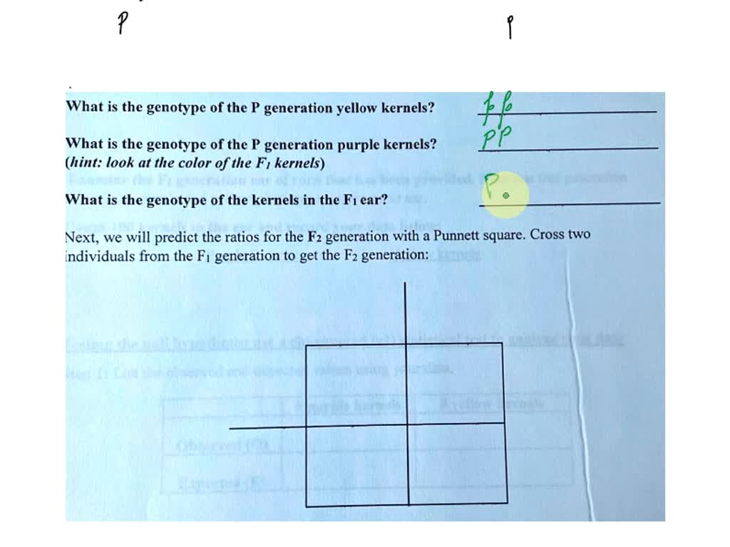 SOLVED: Texts: 6 Genetic Notion follows: P - first parental generation ...