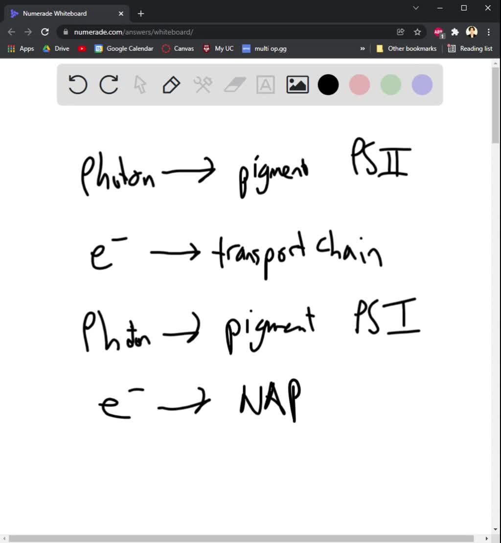 SOLVED: Match the items a. 3-PGA gains electrons from NADPH and is ...
