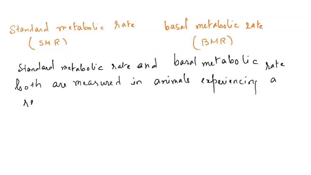 SOLVED: What is the difference between basal metabolic rate (BMR) and standard metabolic rate ...