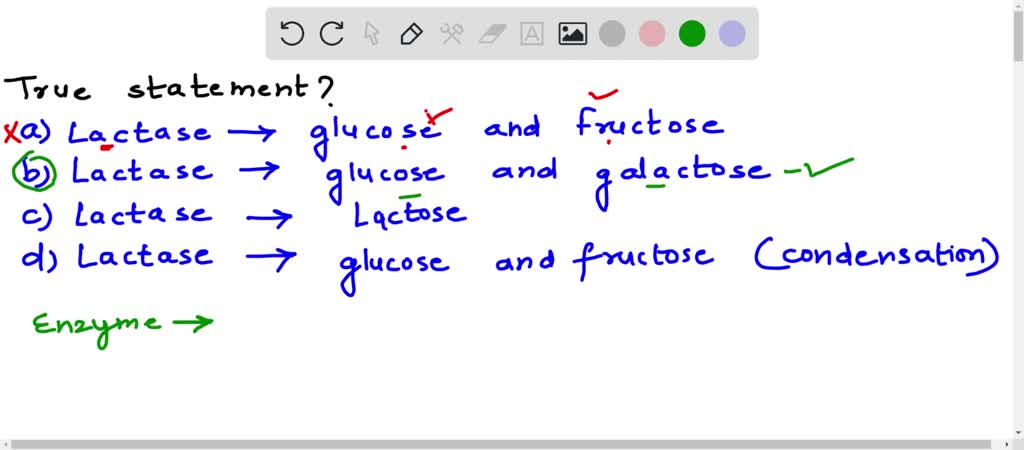 SOLVED: 'Question 13 [05pts Lactase is an enzyme that catalyzes the ...
