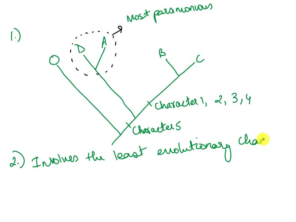 SOLVED: Go back to your character matrix and add all derived characters from your character ...