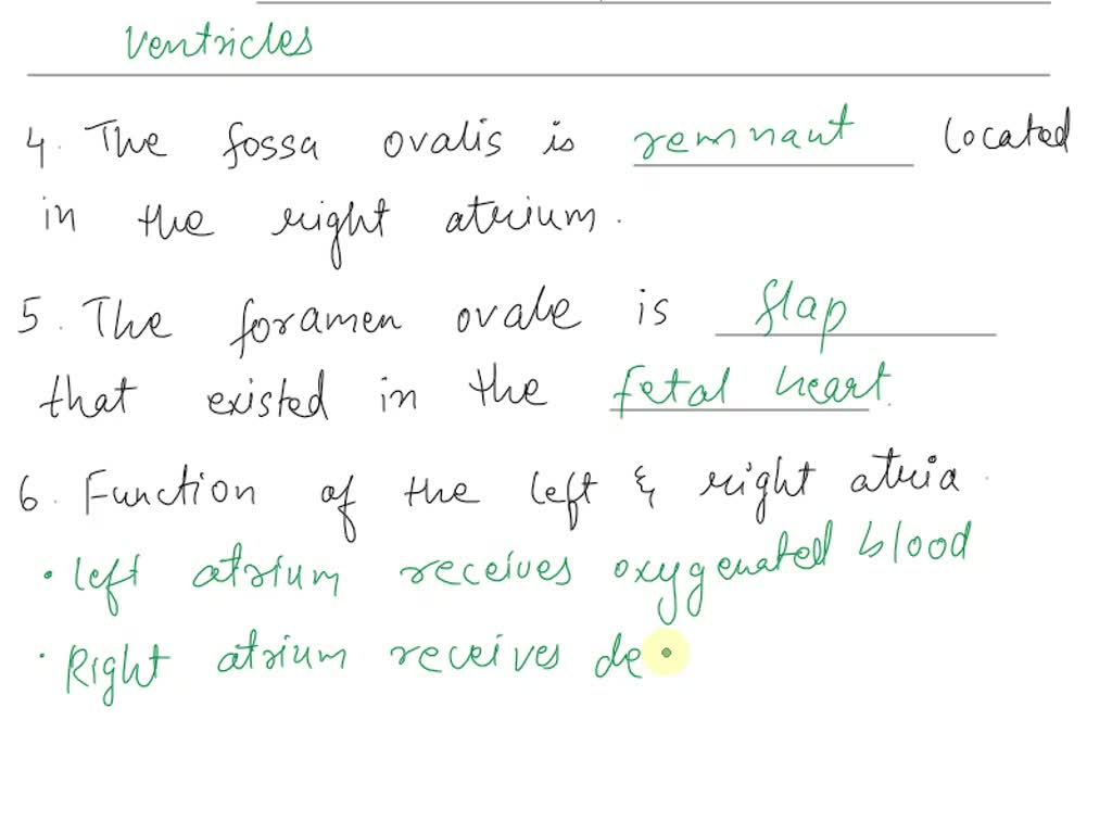 SOLVED: Aortic isthmus is prone to aortic dissection caused by a ...