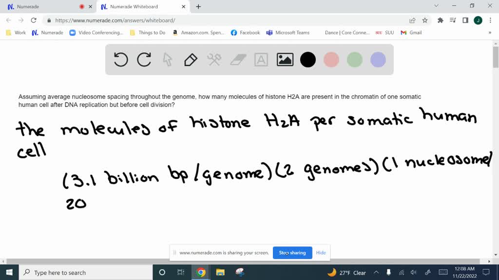 SOLVED: Assuming average nucleosome spacing throughout the genome, how ...