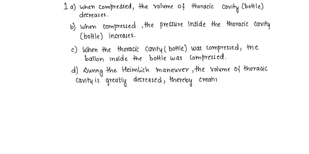 SOLVED: Understanding Lung Mechanics – Post Lab Questions 1. When you ...