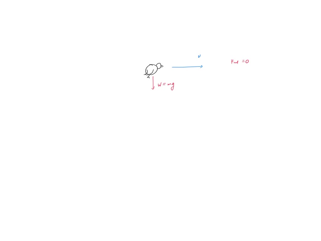 SOLVED: The bird is held in level flight due to the force exerted on it ...