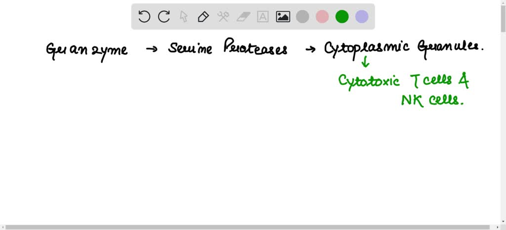 SOLVED: 1) The perforin-granzyme pathway is a: A) cell-mediated immune ...