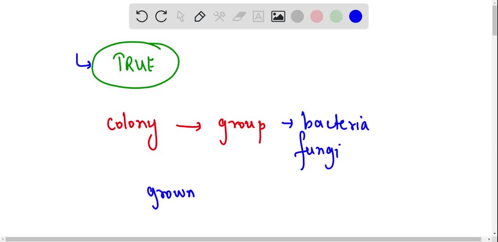 SOLVED: TRUE OR FALSE 1. The presence of colonies on solid culture ...