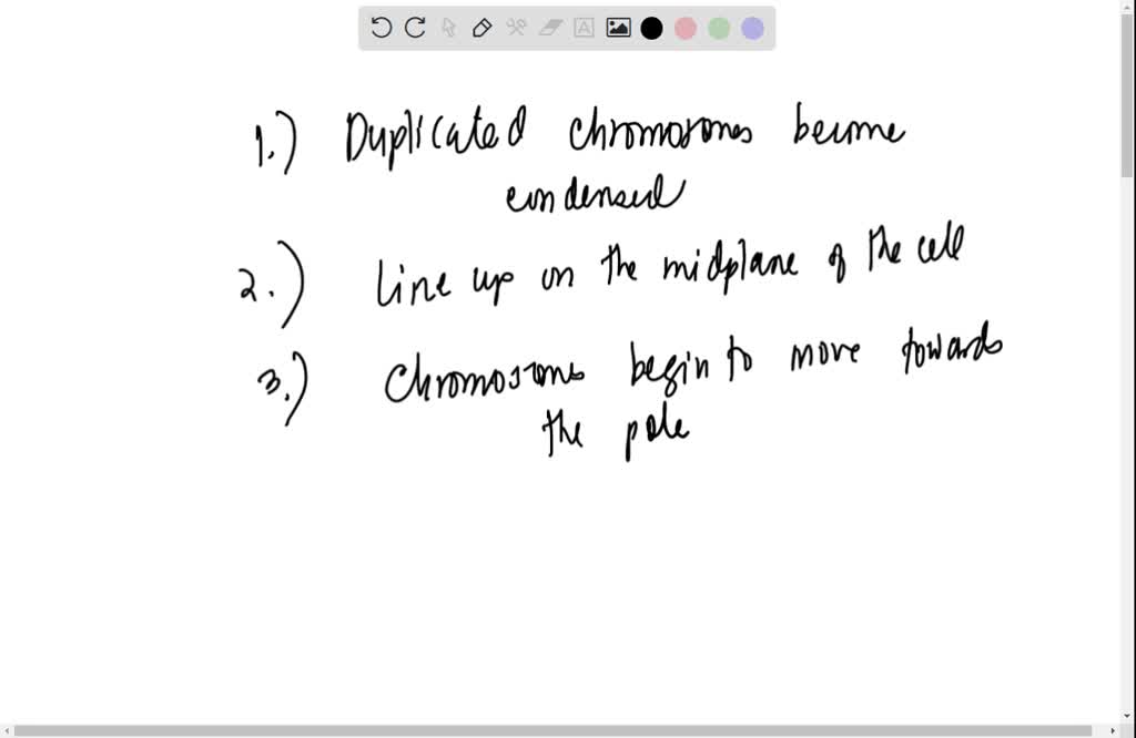 SOLVED: Arrange these cellular events in order: 1. Duplicated ...