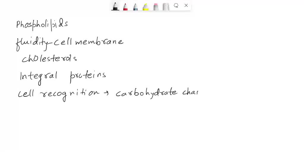 SOLVED: Texts: Match the membrane protein function to its description ... SOLVED: Texts: Match the membrane protein function to its description ...
