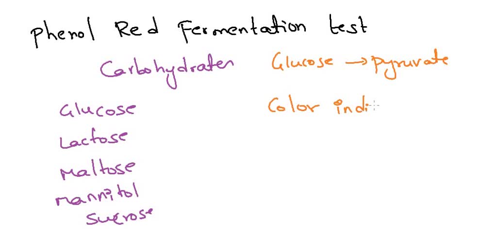 SOLVED: A series of phenol red sugar fermentation broths is shown below ...