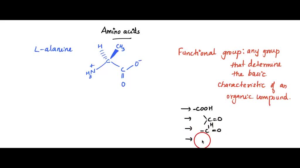 SOLVED: Shown here is the structure of L-alanine Check the box next to ...