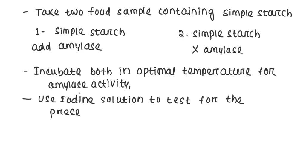 Label the action of amylase on starch digestion into the proper ...
