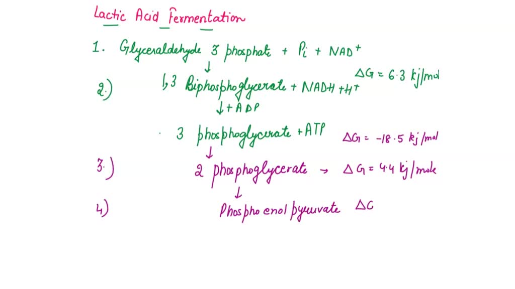 SOLVED: 37. Lactic acid fermentation: Write a balanced equation for the ...