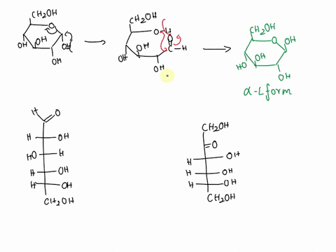 The fischer projection of sugar shown below draw the...