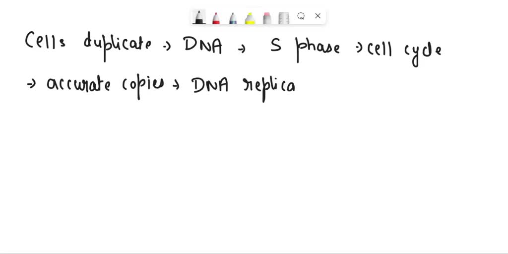 SOLVED: When do cells duplicate their DNA? How do cells make accurate ...