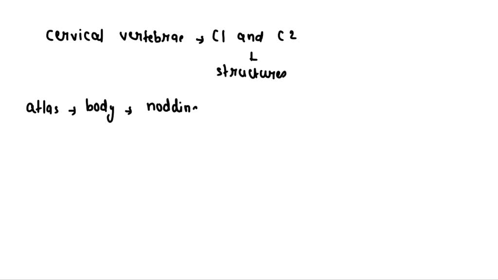 SOLVED: Structural differences between cervical, thoracic, and lumbar ...