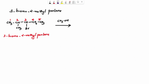 alkyl halides substution reaction with 2s3s 2 chloro 3 methylpentane with ch3o draw the product ...