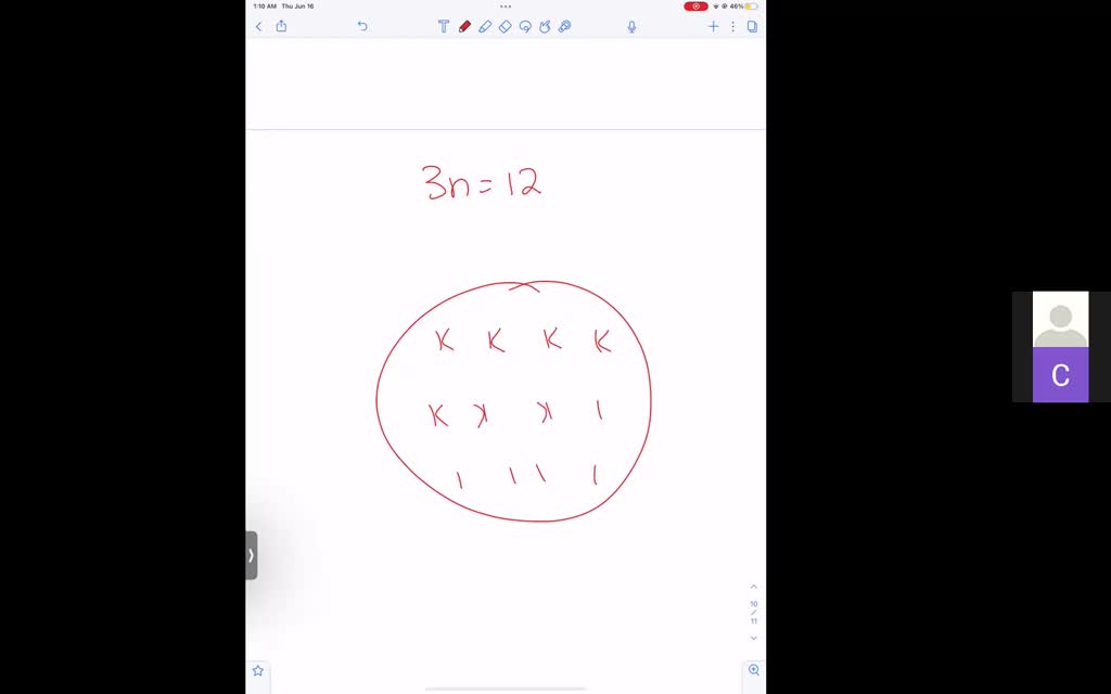 SOLVED: 11) In a triploid cell with 4 chromosome triplets (3n = 12 ...
