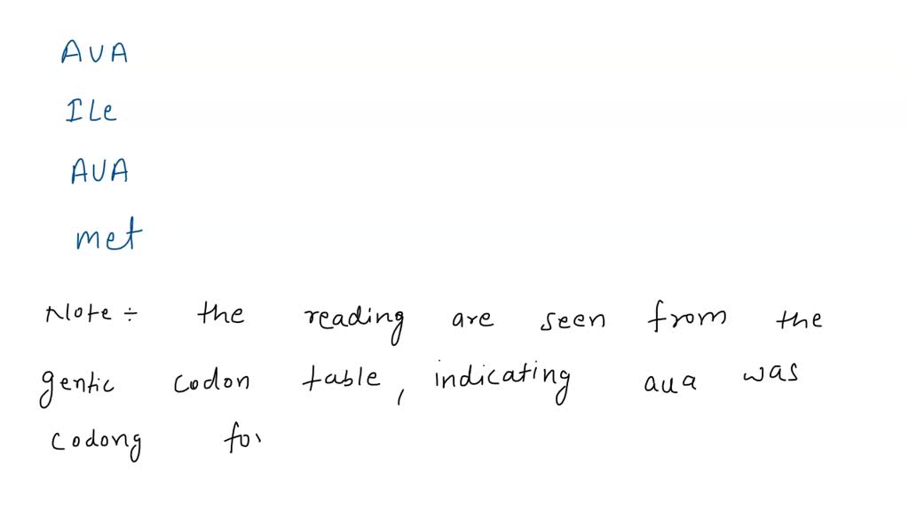 SOLVED: If the polynucleotide 5 AUAUAUAUAUAUAU . is used with ...