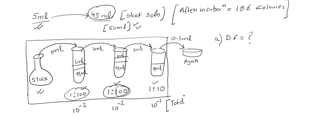SOLVED: A yogurt sample is diluted 50,000 times and 20 uL of the ...