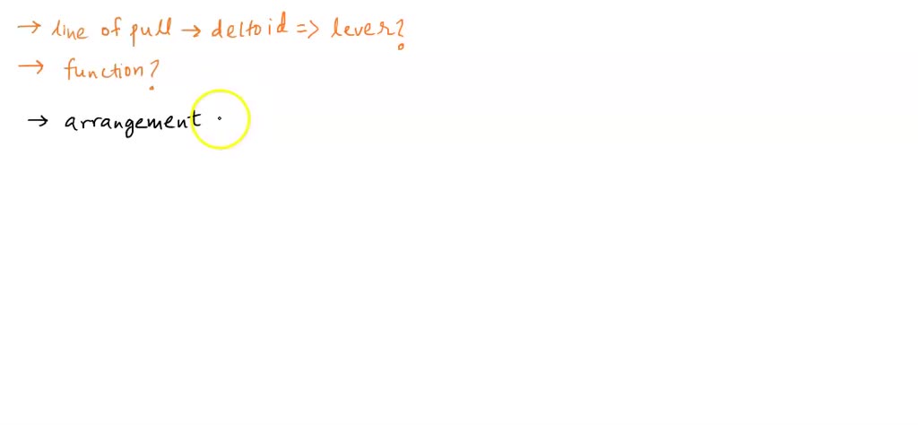 SOLVED: The figure below shows the line of pull e of the middle deltoid ...