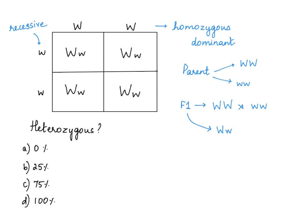 SOLVED: The Punnett square shows the possible genotype combinations of ...