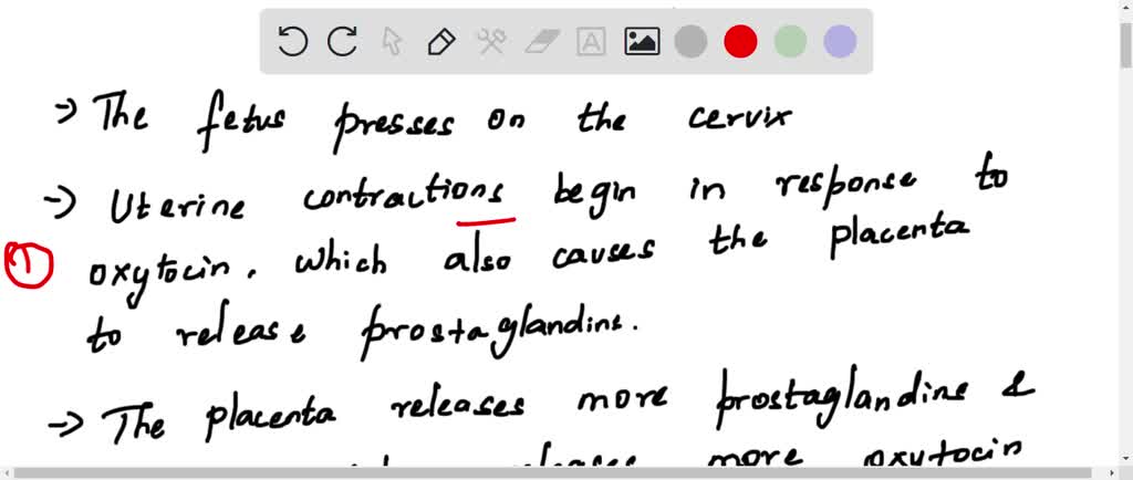 SOLVED: Sequence the events during childbirth that lead to a release of ...