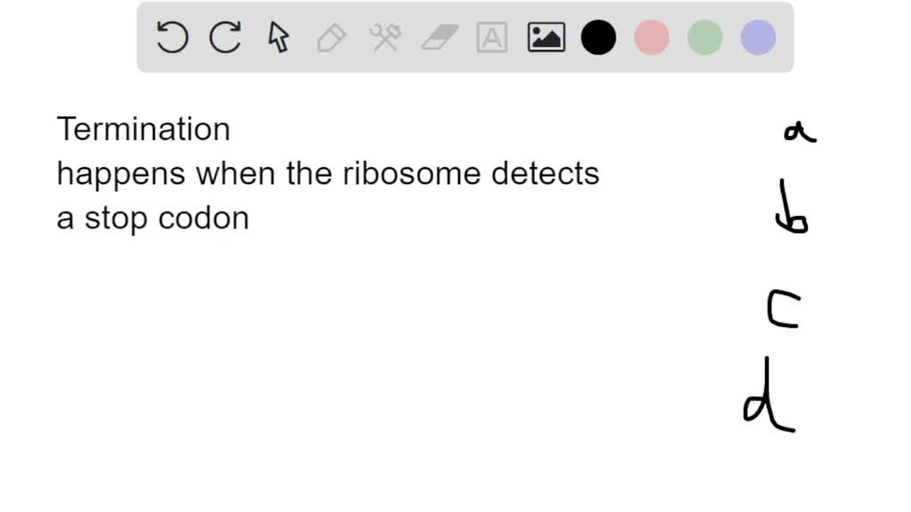 SOLVED: Synthesis of a particular protein is terminated when the codon ...