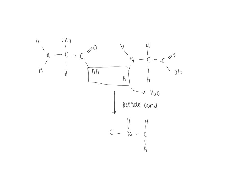 SOLVED: 'answer number 9 with a visual attachment and answer number 10 ...