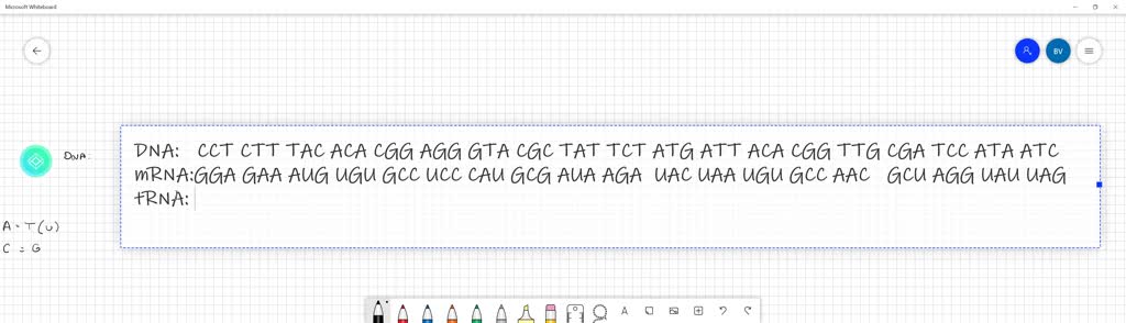 SOLVED: Use your codon chart to determine the amino acid sequence ...