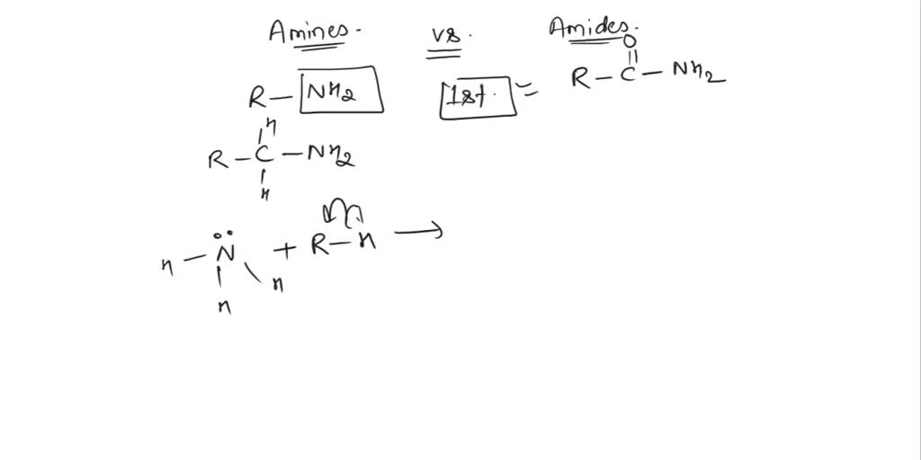 SOLVED: Amines and amides both contain nitrogen. What are the differences in the structures of ...