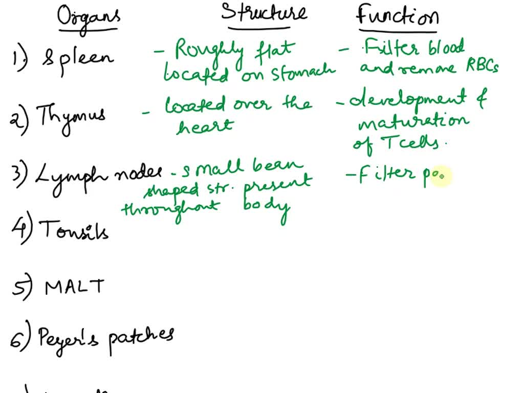 SOLVED: Identify the structure and function of lymphatic organs. o ...