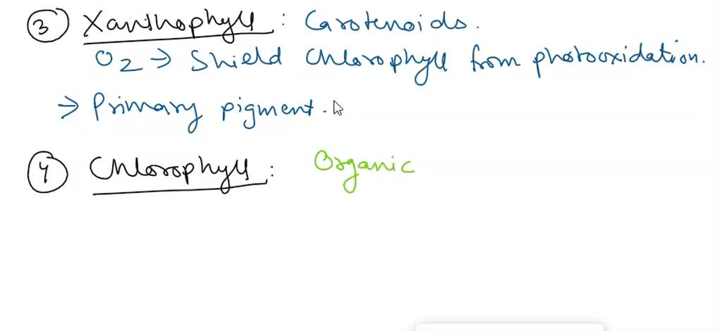 SOLVED: The primary photosynthetic pigment is Multiple Choice carotene ...