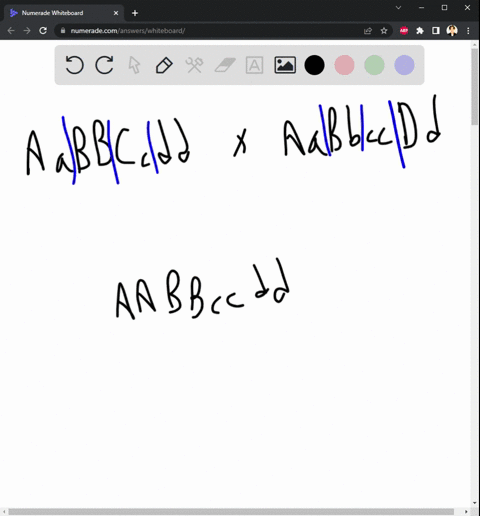 in a cross between aabbccdd and aabbccdd what is the probability of an ...