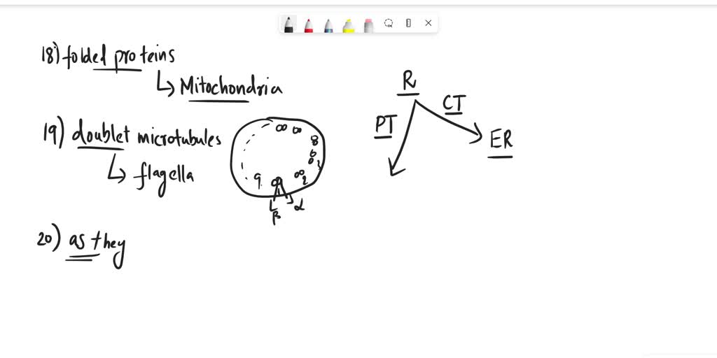 SOLVED:18 Organelle that imports folded proteins through its membrane ...
