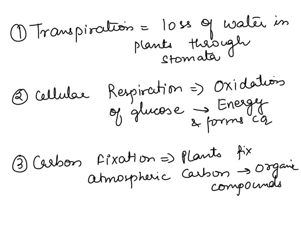 SOLVED: An organism obtains useful energy by consuming oxygen, breaking ...