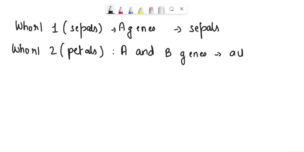 SOLVED: The figure on the right shows how the ABC hypothesis predicts ...