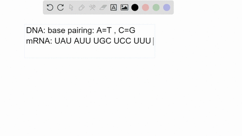 using the genetic code complete the following a dna coding dna template ...